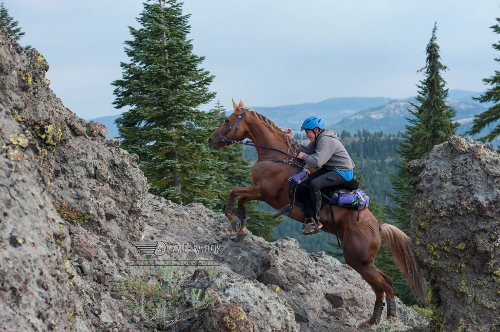 The World's Greatest Endurance Races